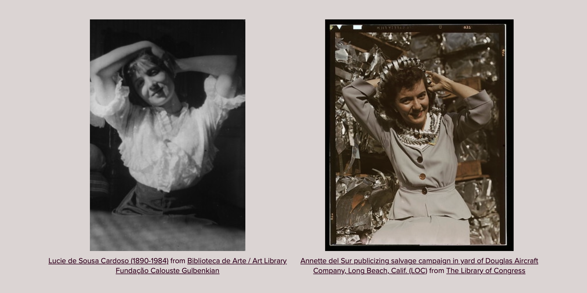 The new Flickr Commons Explorer – alexwlchan