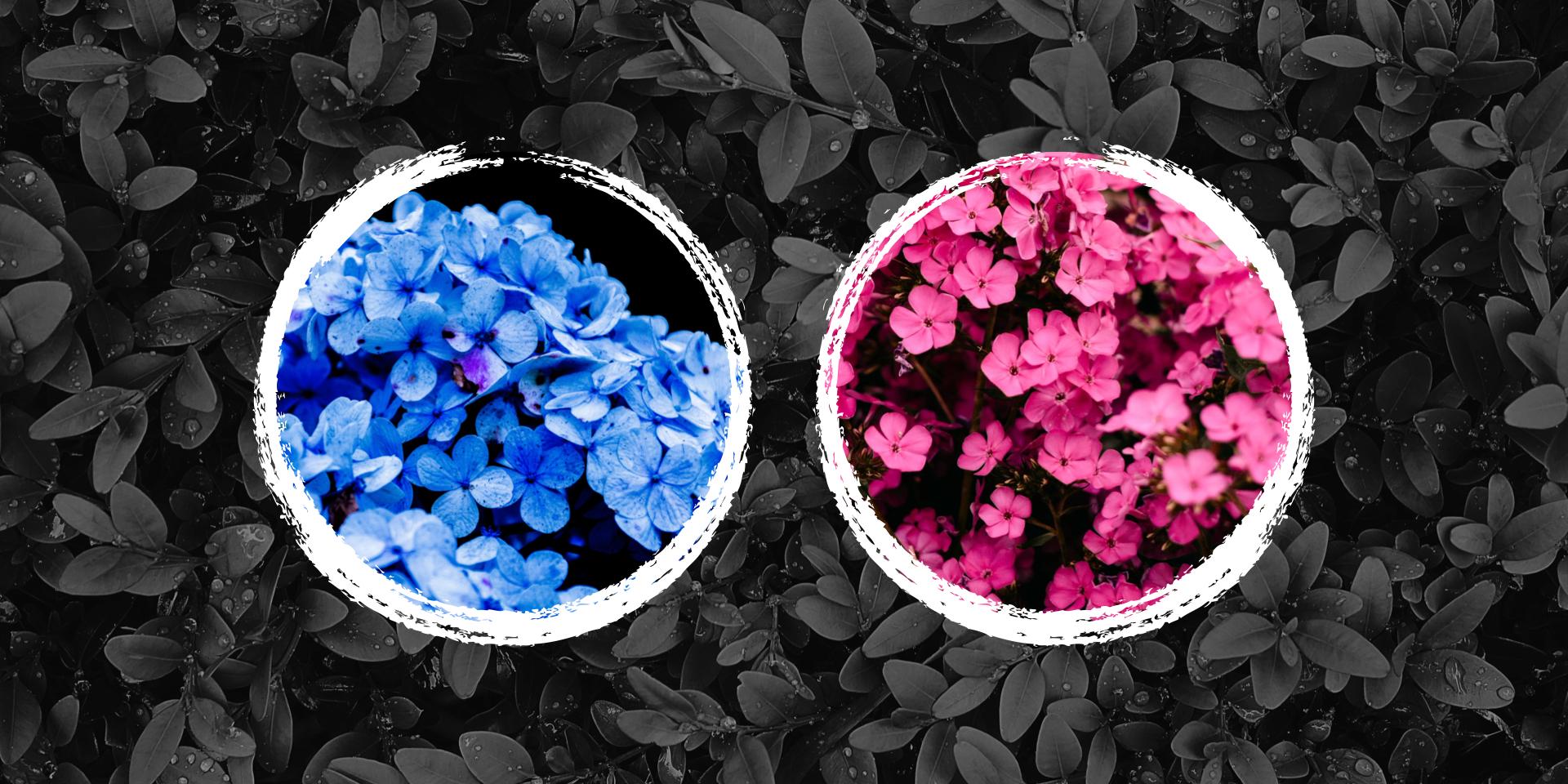 flapi.sh: a tiny command-line tool for exploring the Flickr API ...